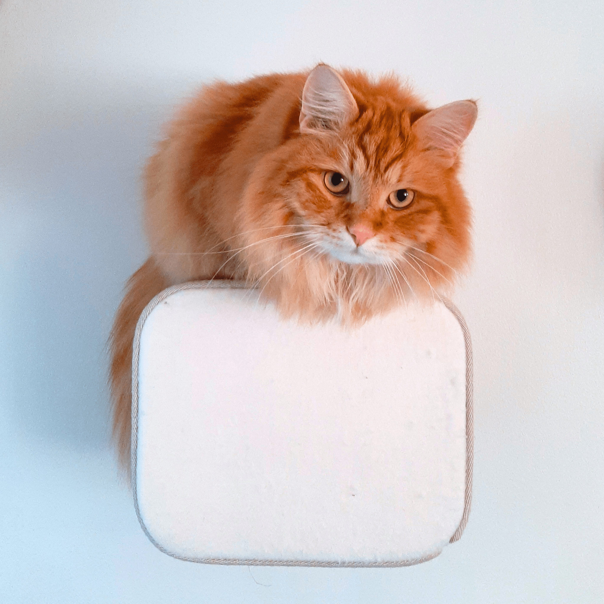 Balk-Elementserie – Ananimalab.com